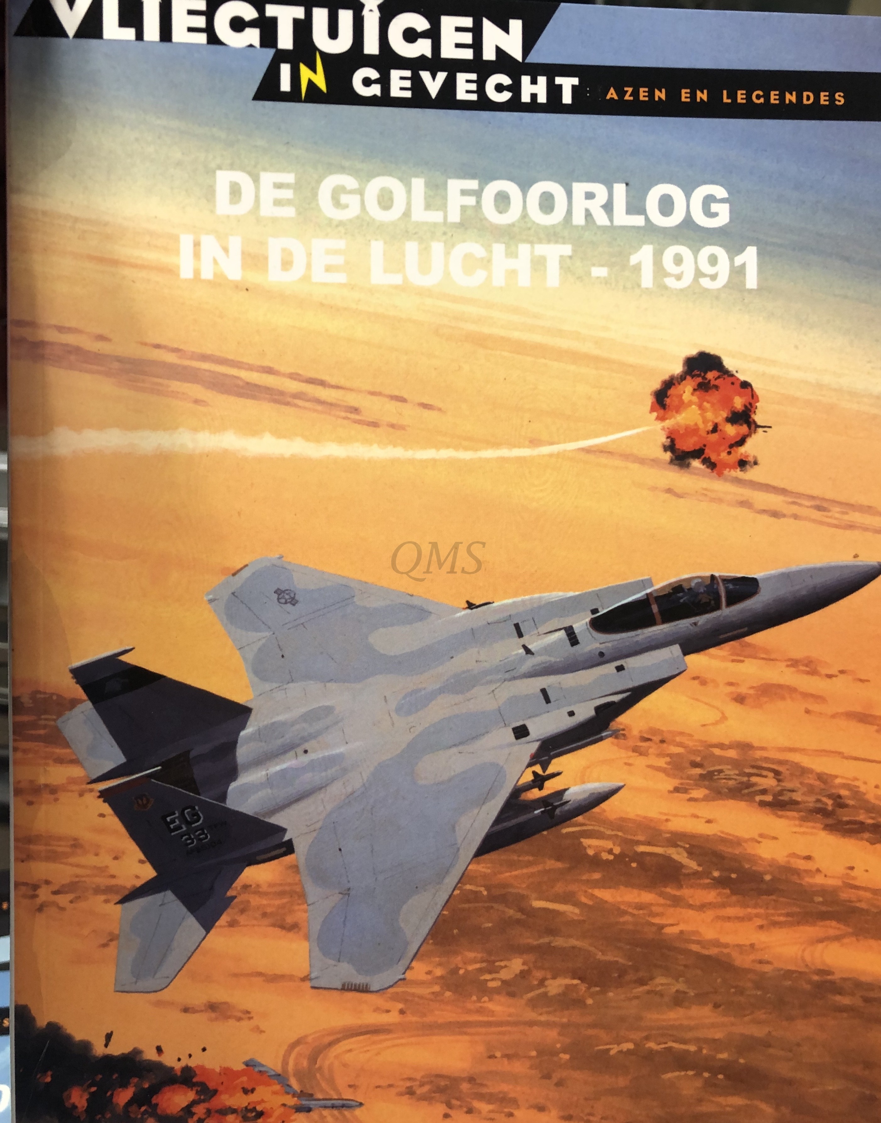De Golfoorlog in de lucht 1991 (Vliegtuigen in gevecht)