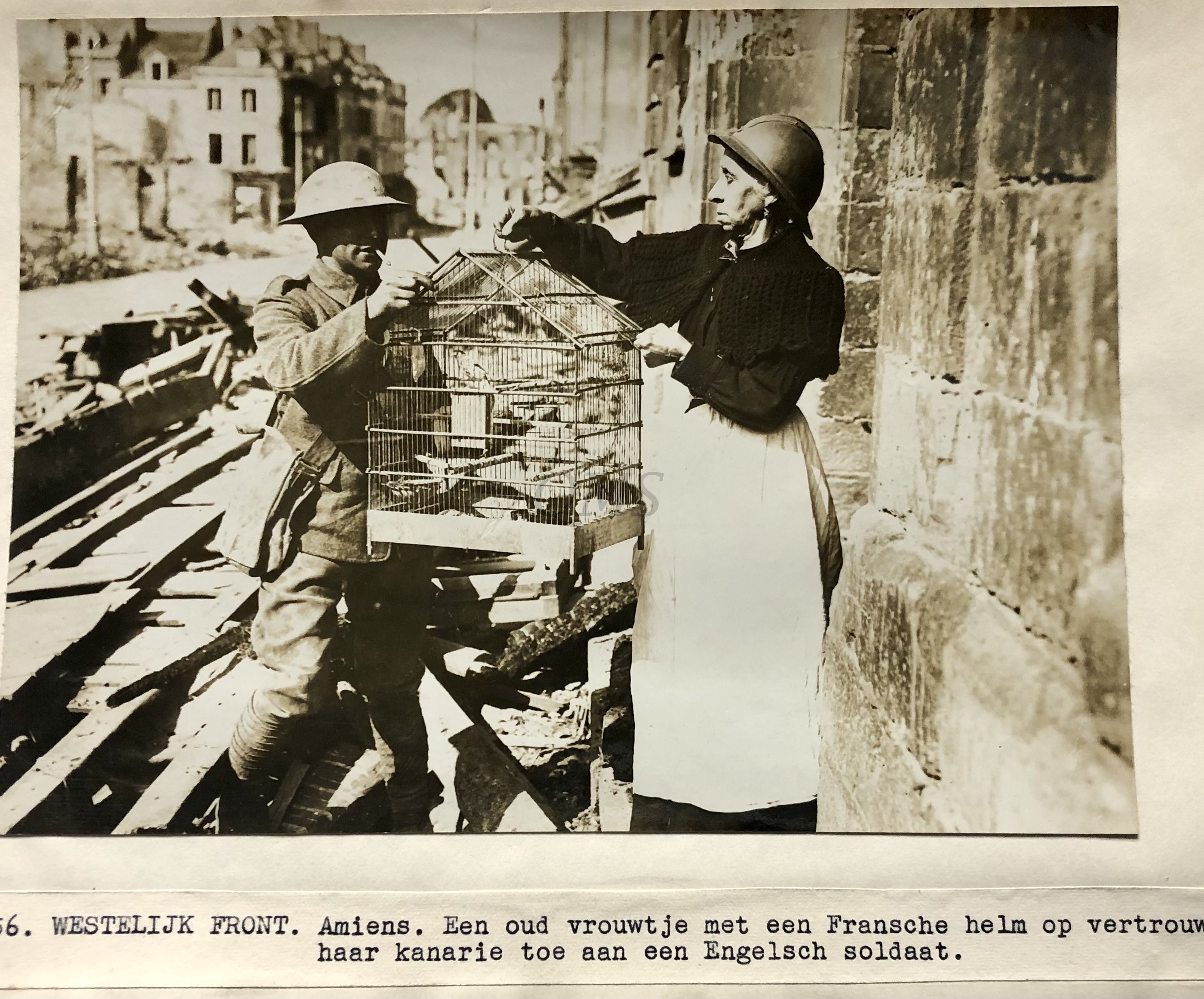 Press photo , WW1 Western front , Amiens woman saves a canary