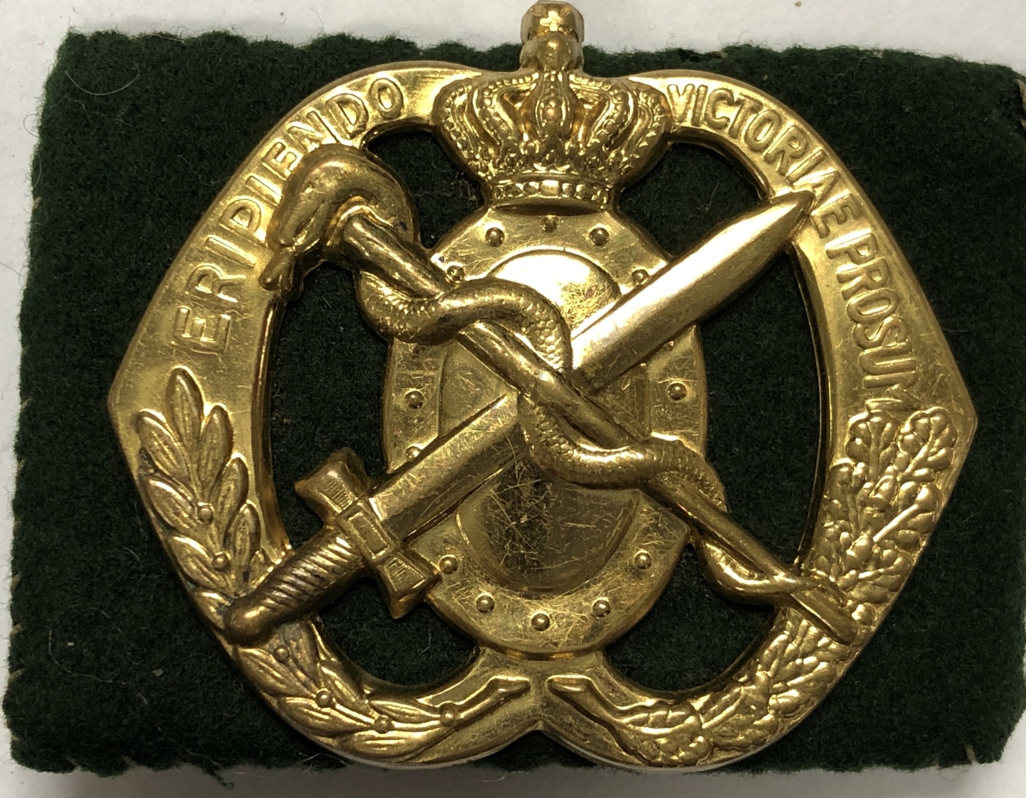 Baret embleem Regiment Geneeskundige Troepen