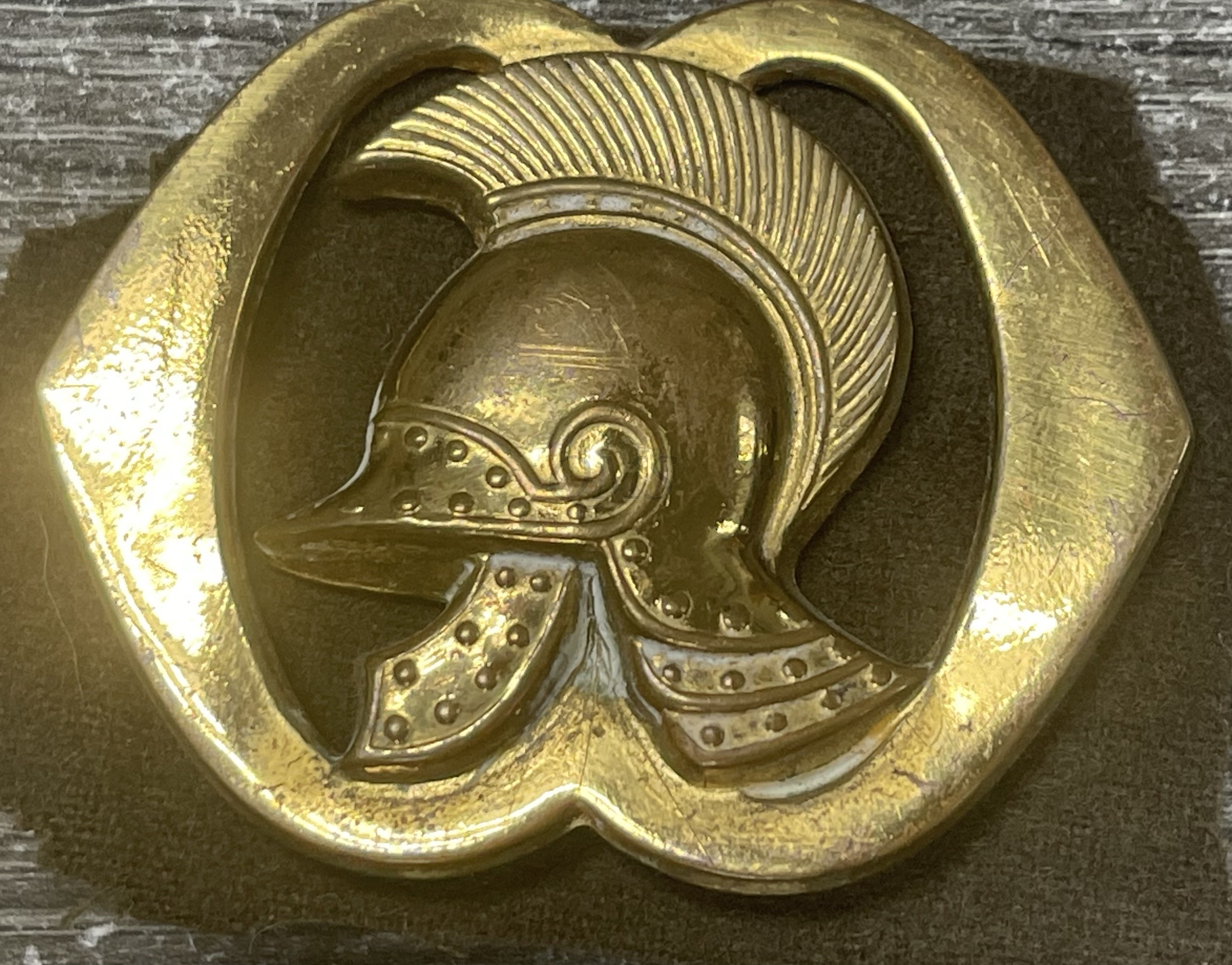 Baret embleem Reginent Genie