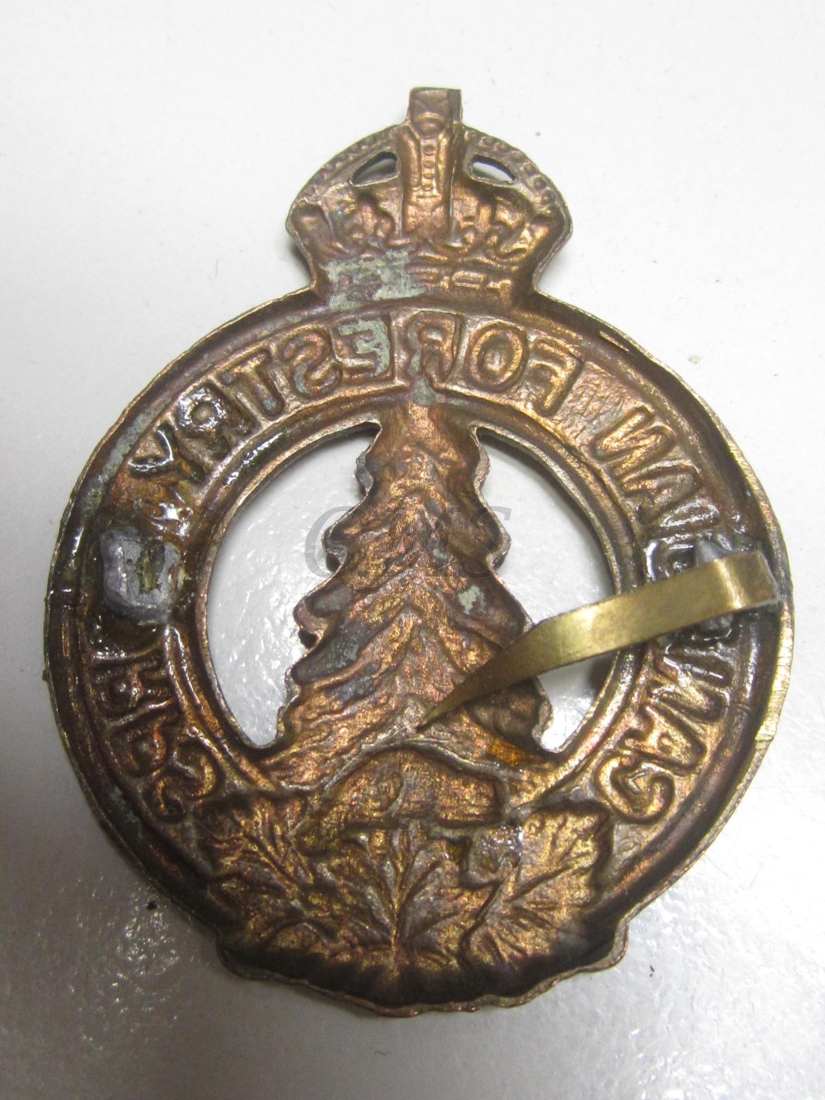 Cap badge Canadian Forestry Corps