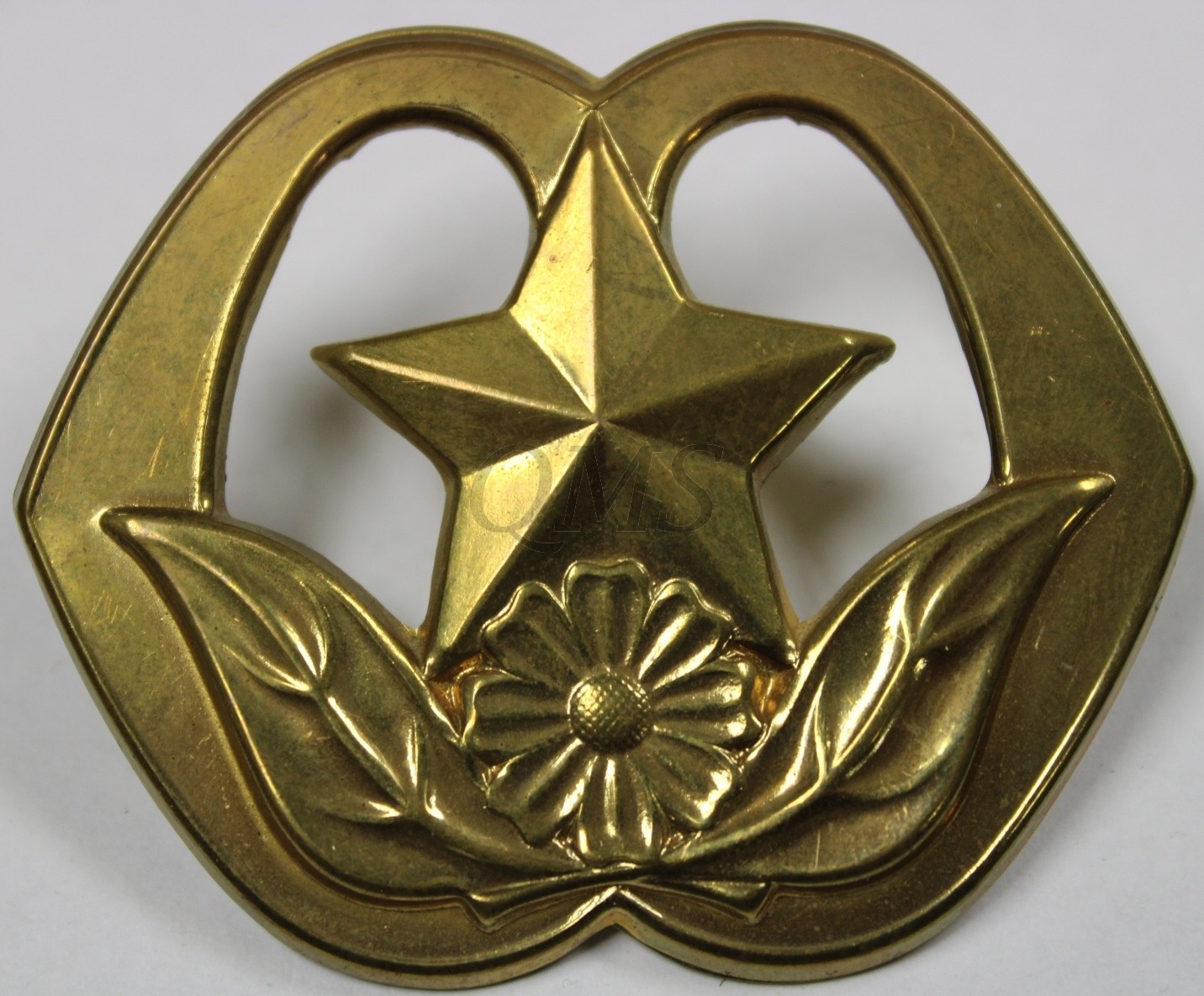 Baret embleem Humanistisch Raadsman