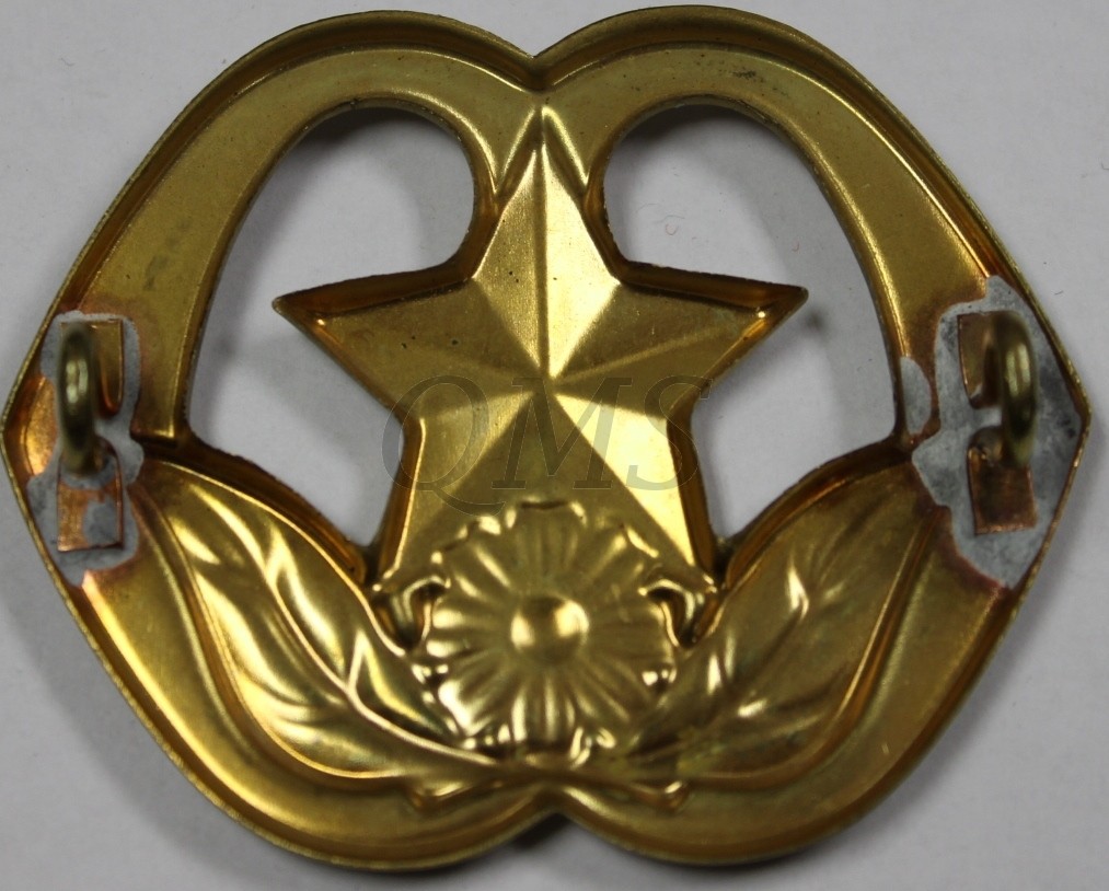Baret embleem Humanistisch Raadsman