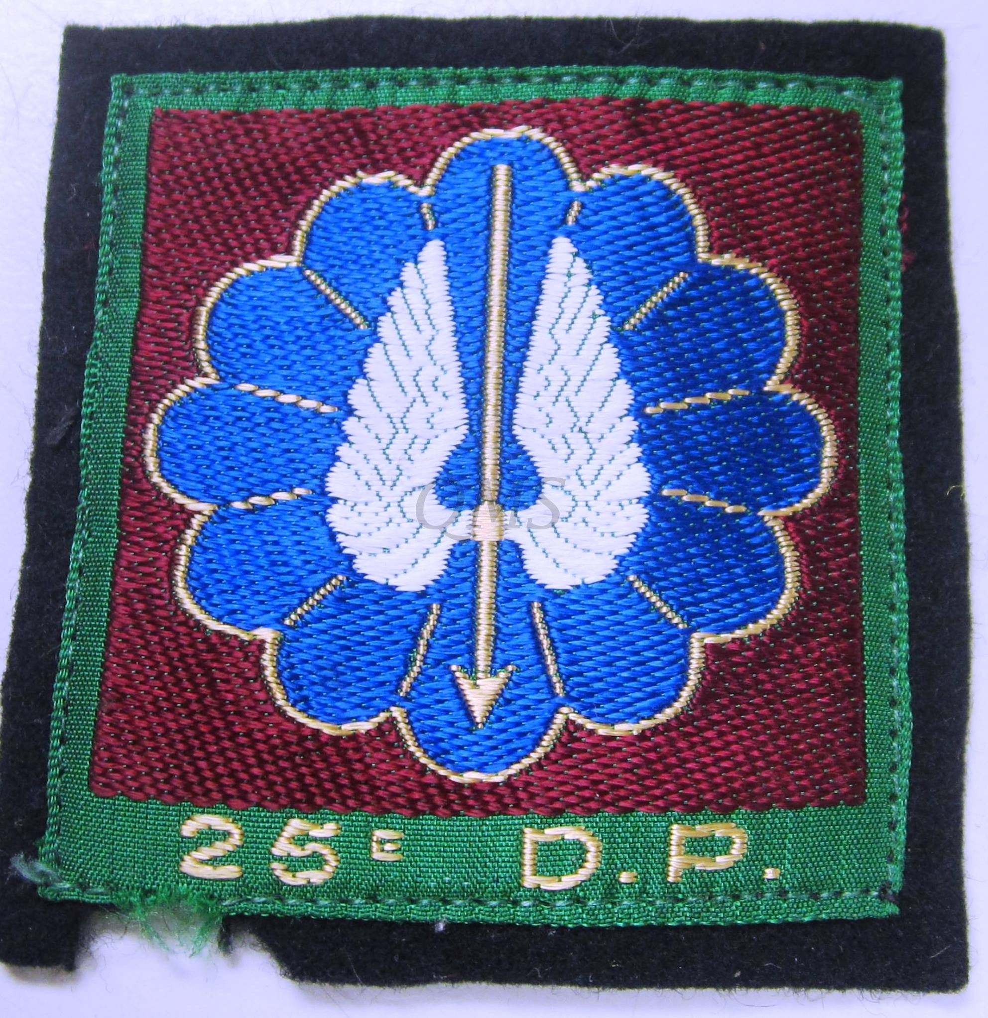 Badge 25th Parachute Division