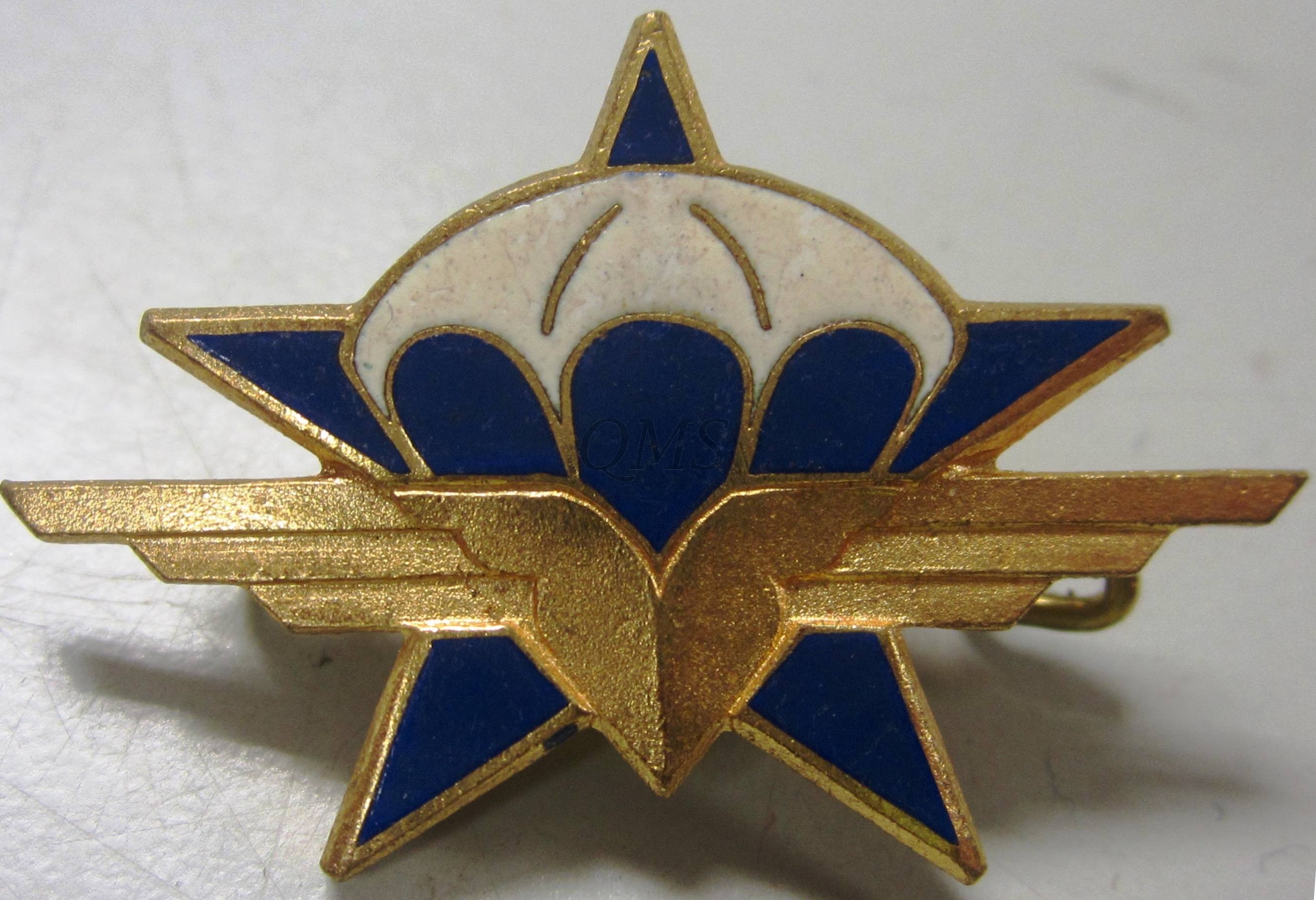 Badge 1er RCP (Drago)