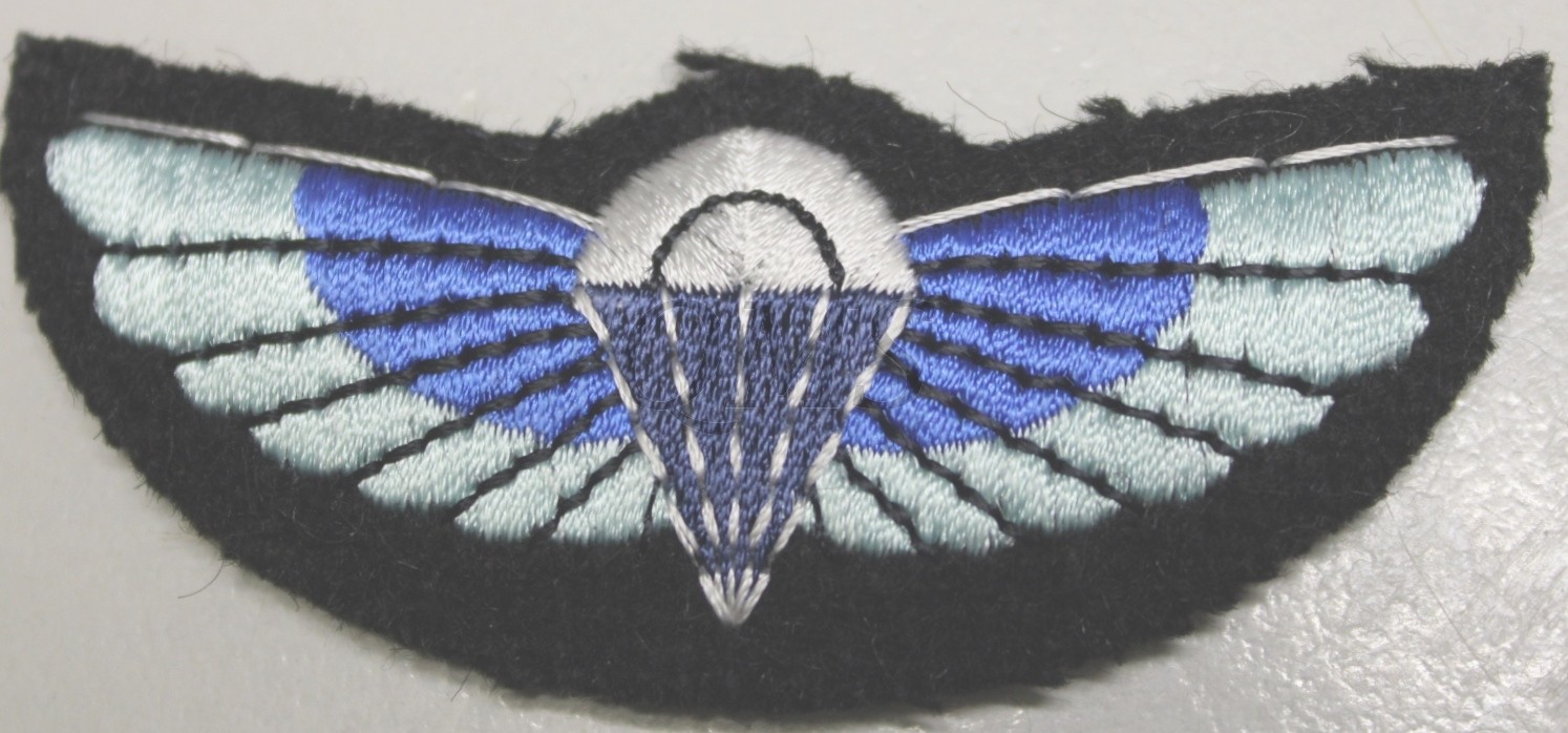 Modern SAS wing