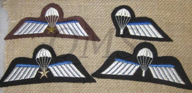 4 verschillende ned para wings (4 different jump wings Netherlands)