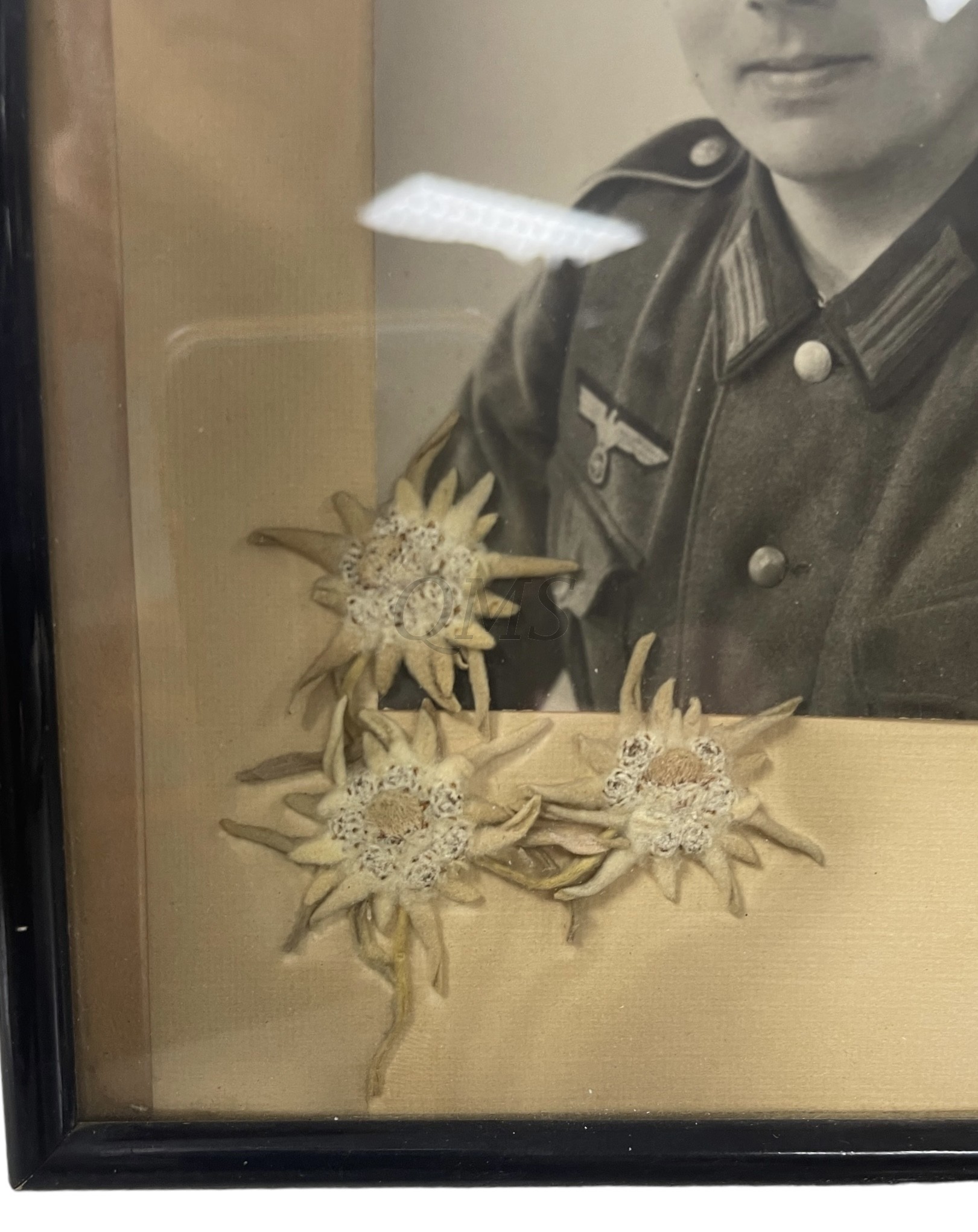 Framed Gebirgsjager soldier with edelweiss